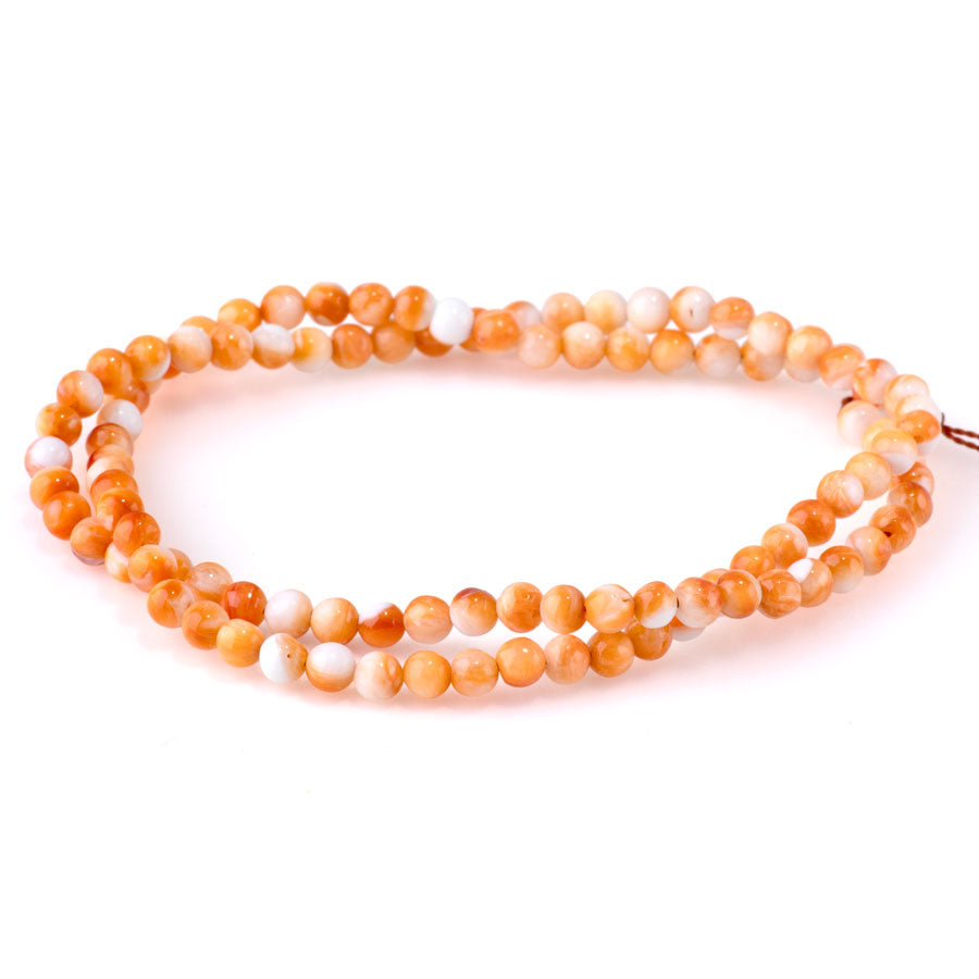 Spiney Oyster 4mm Round - 15-16 Inch — Dakota Stones