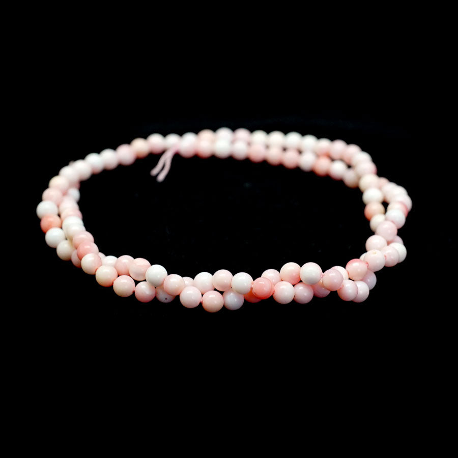 Queen Conch Shell 4mm Round A-Grade - 15-16 Inch – Dakota Stones