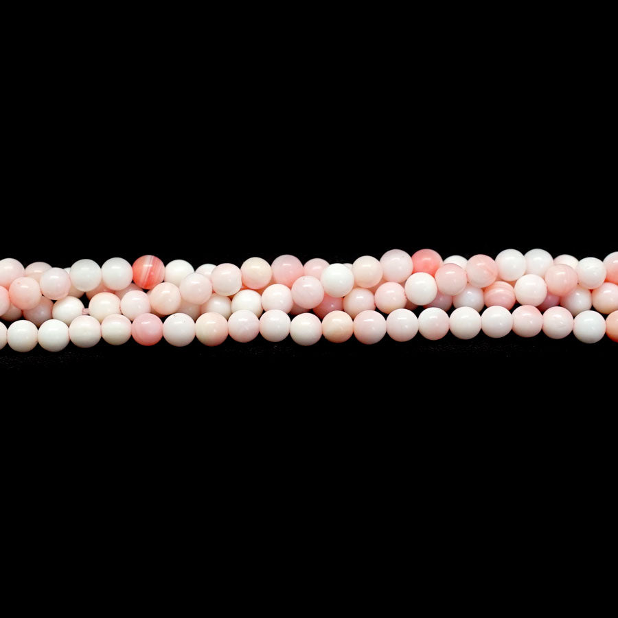 Queen Conch Shell 4mm Round A-Grade - 15-16 Inch – Dakota Stones